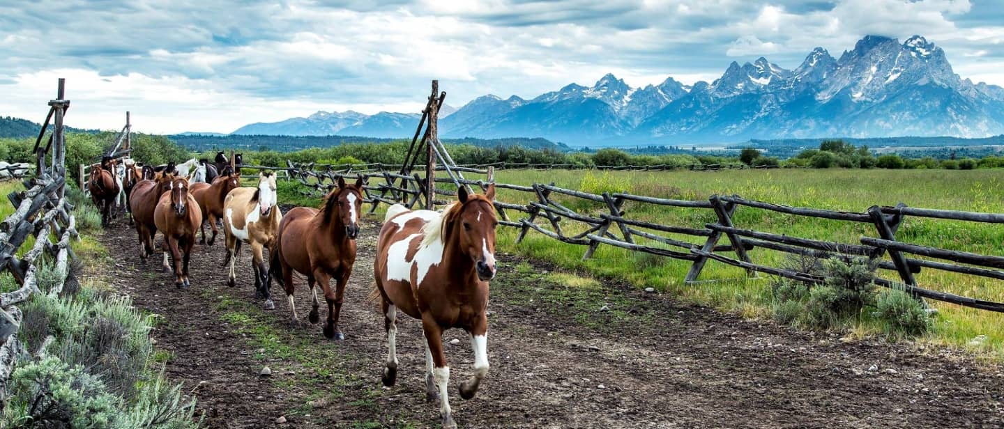 Dude Ranch Vacations | Choose the perfect Western vacation getaway ...