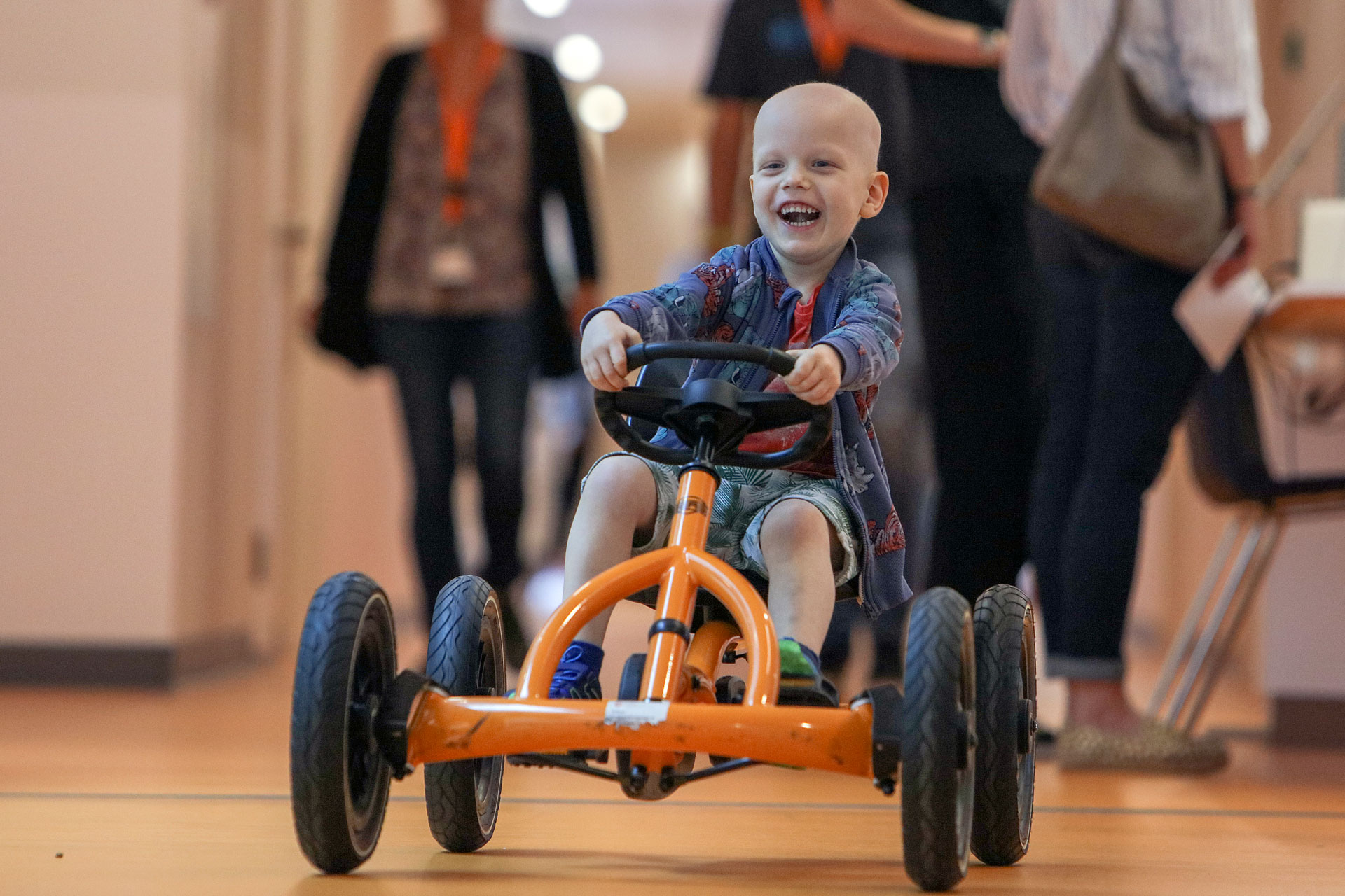 Pontifex filantropie