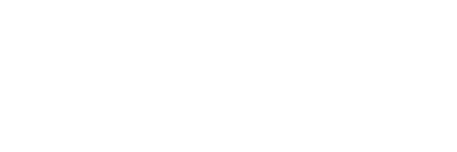 Dr.Nalini Sankar - Whole Brain Acceleration